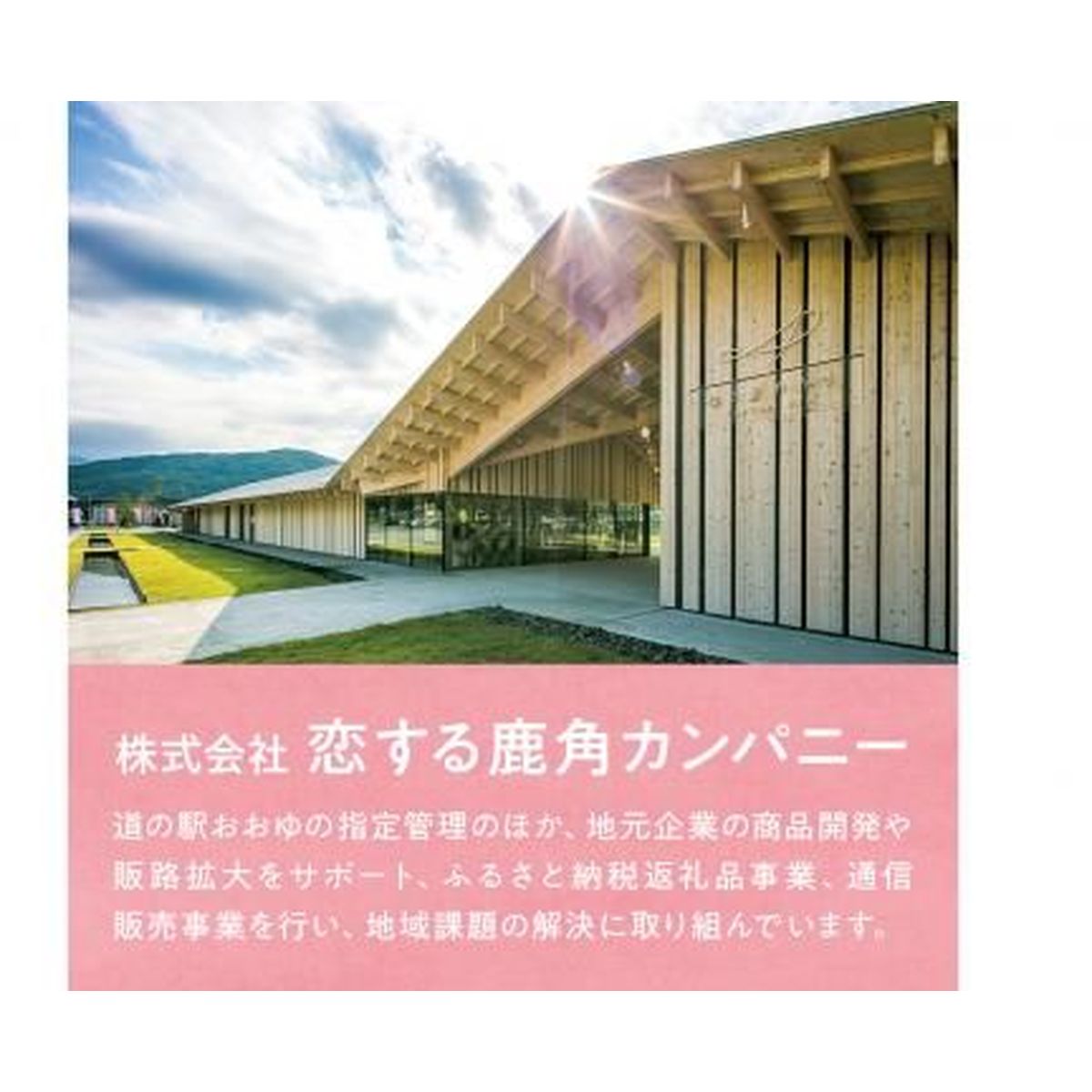 ひかりTVショッピング | 道の駅おおゆ限定 ストレート果汁100％ かづの林檎ジュース 195ml 30缶セット｜恋する鹿角カンパニー
